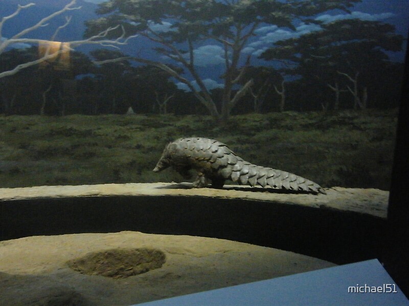 "Armoured ant eater" by michael51 | Redbubble