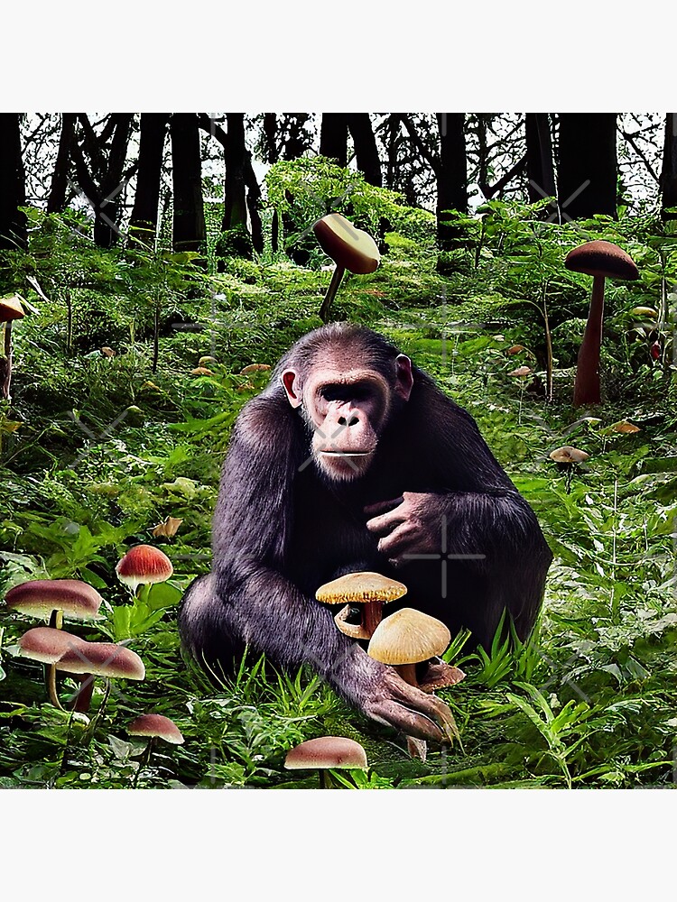 Póster «Más pruebas de la teoría del mono drogado» de SubtleSplit ...