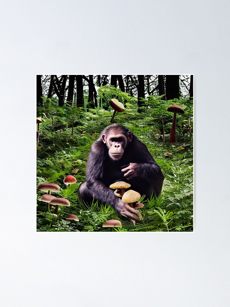 Póster «Más pruebas de la teoría del mono drogado» de SubtleSplit ...