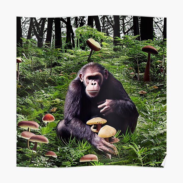 Póster «Más pruebas de la teoría del mono drogado» de SubtleSplit ...