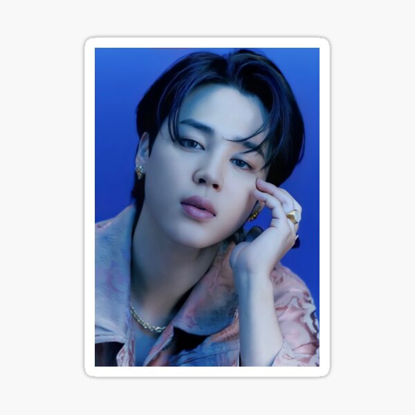 "Park Jimin bts" Sticker for Sale by loonelywhale | Redbubble