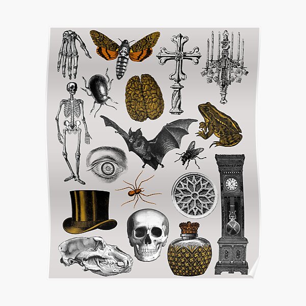 "Halloween Vintage Spooky Creepy Items" Poster for Sale by SunnyCalypso ...