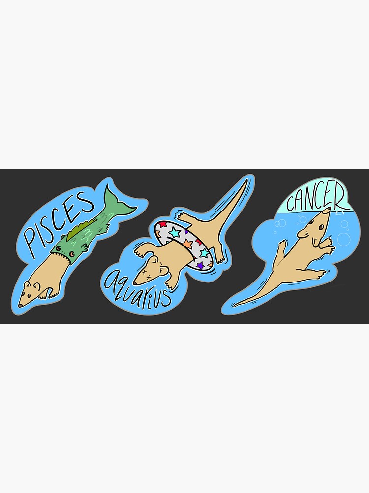 "Star Sign Possum Caricatures" Sticker for Sale by Amphiella | Redbubble