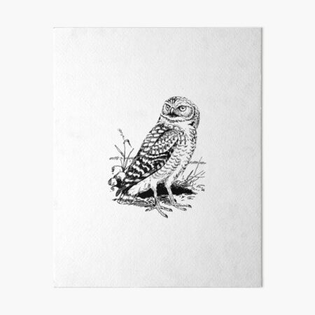 "Strigiformes , All occasions, holidays and celebrations, father ...