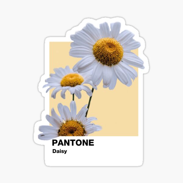 "pantone daisy" Sticker for Sale by barbonellas | Redbubble