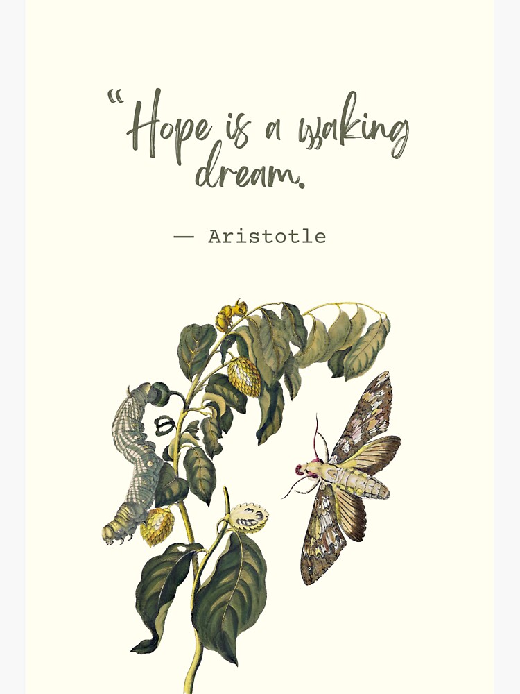 ""Hope is a waking dream" quotes on products." Sticker for Sale by ...