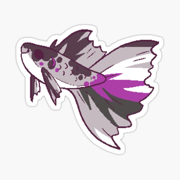 "Asexual Pride Pastel Betta Fish" Sticker for Sale by slimestra | Redbubble