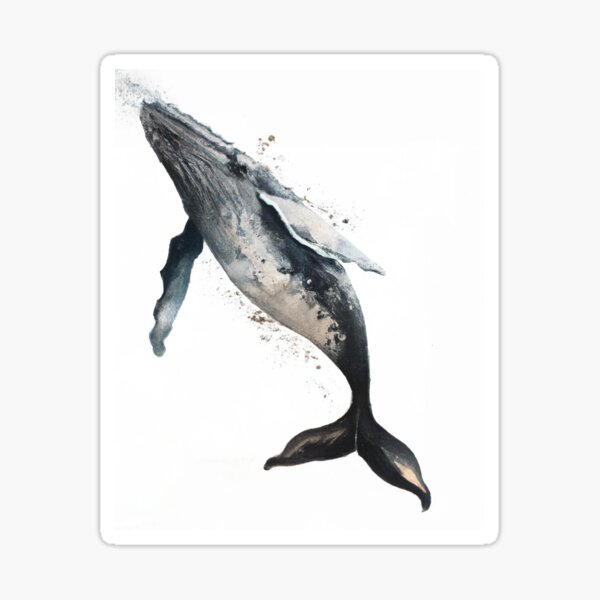 "Humpback whale breaching: Ink and watercolour " Sticker for Sale by ...