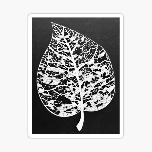 "leaf skeleton" Sticker for Sale by susannvoelske | Redbubble