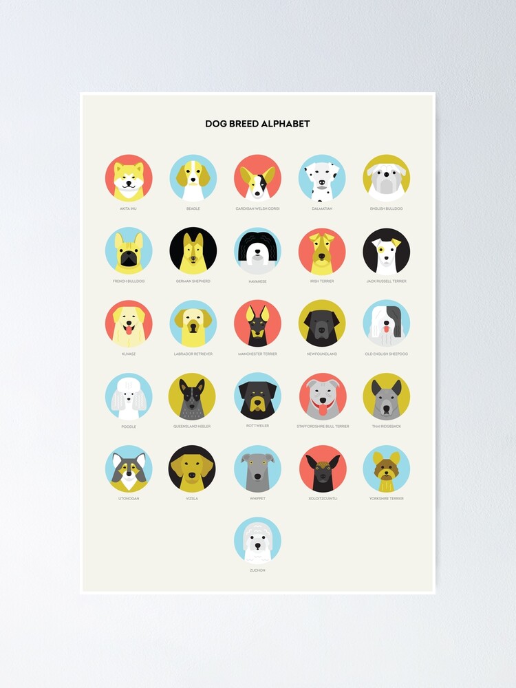 "Dog Breed Alphabet" Poster for Sale by p-o-o-l | Redbubble