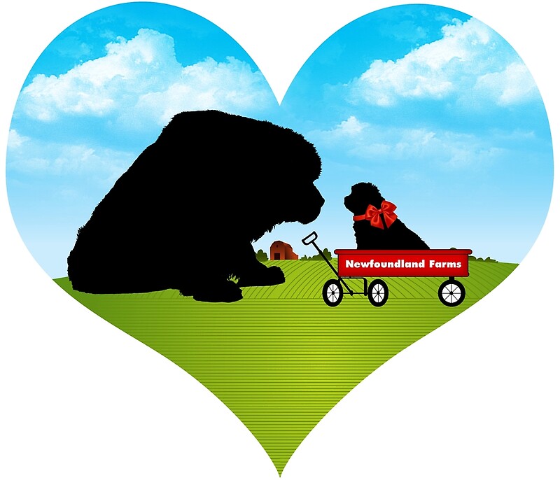 "Newfoundland Farms" by Christine Mullis | Redbubble