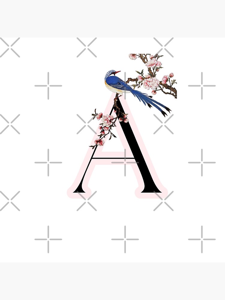 Póster «Pre k.kindergarten hola Alfabeto de regreso a la escuela ...