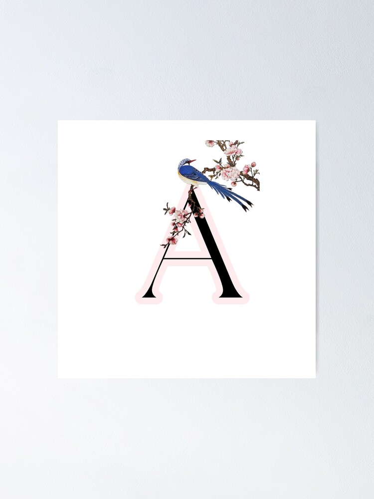 Póster «Pre k.kindergarten hola Alfabeto de regreso a la escuela ...