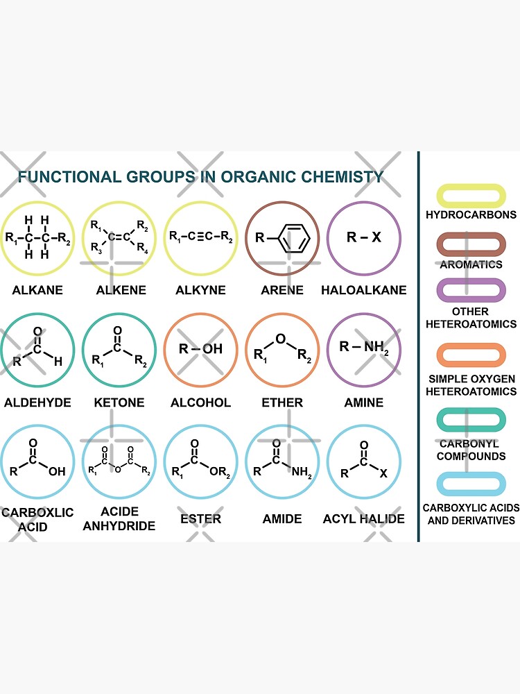 "Functional Groups In Organic Chemistry" Poster for Sale by ...