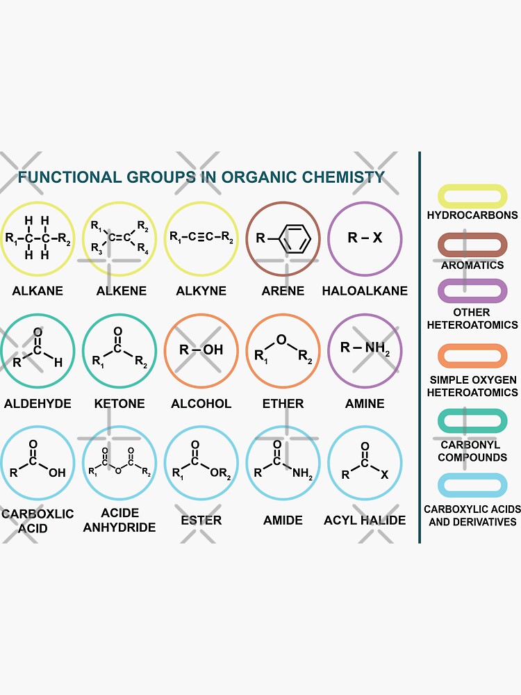"Functional Groups In Organic Chemistry" Sticker for Sale by ...