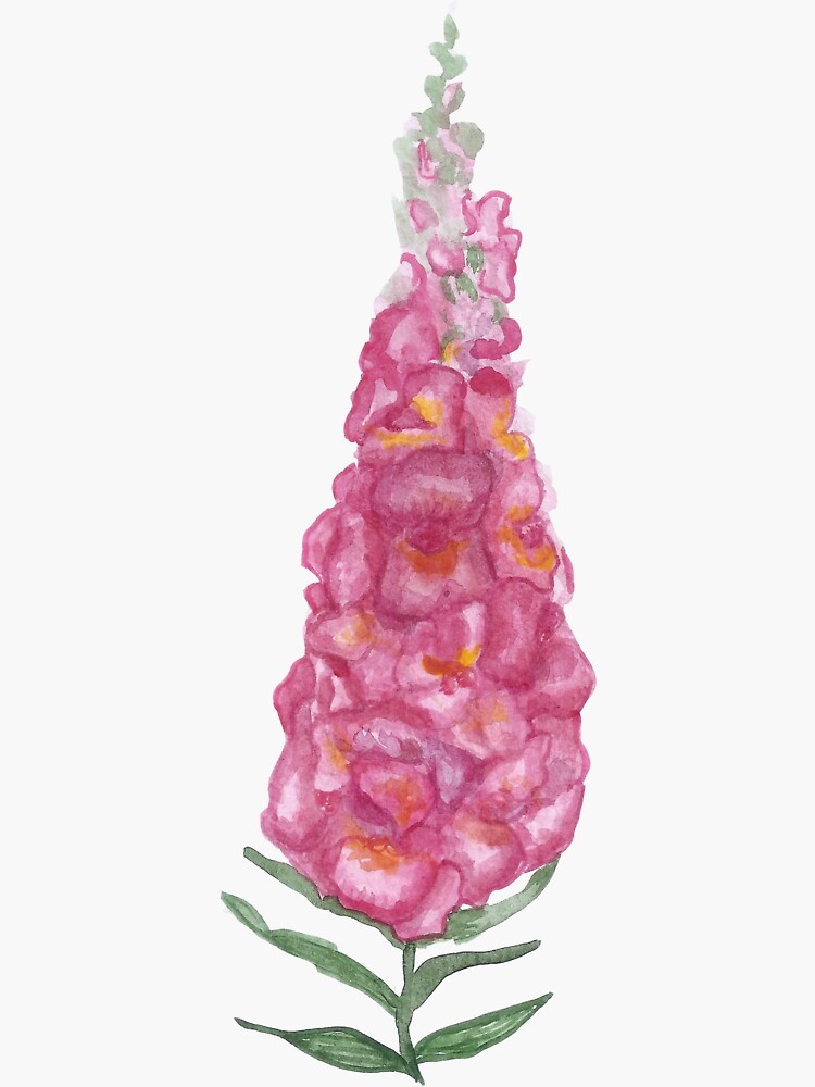 "Vintage Snapdragons" Sticker for Sale by Souqna | Redbubble