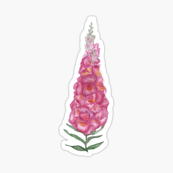 "Vintage Snapdragons" Sticker for Sale by Souqna | Redbubble