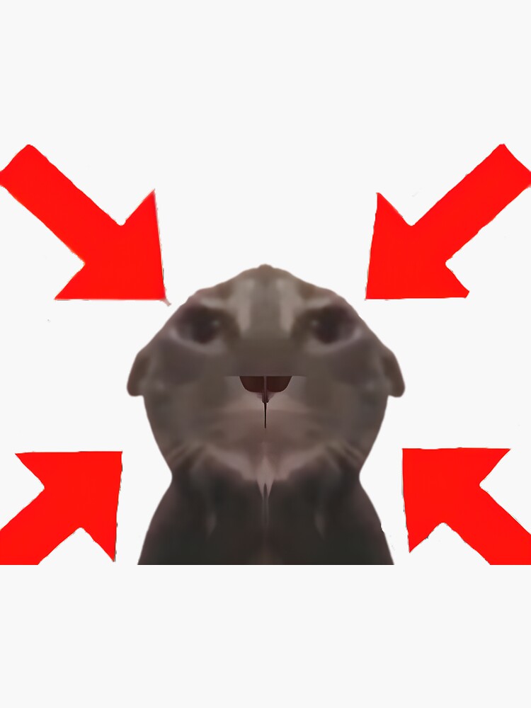 Red Arrow Memes 😭 Goofy Cry Meme Circle Arrow Red Pointing | Roblox