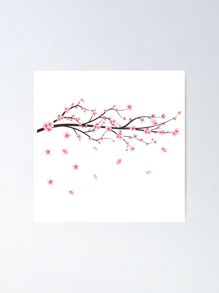 "Falling Sakura Cherry Blossom" Poster for Sale by art-master1 | Redbubble
