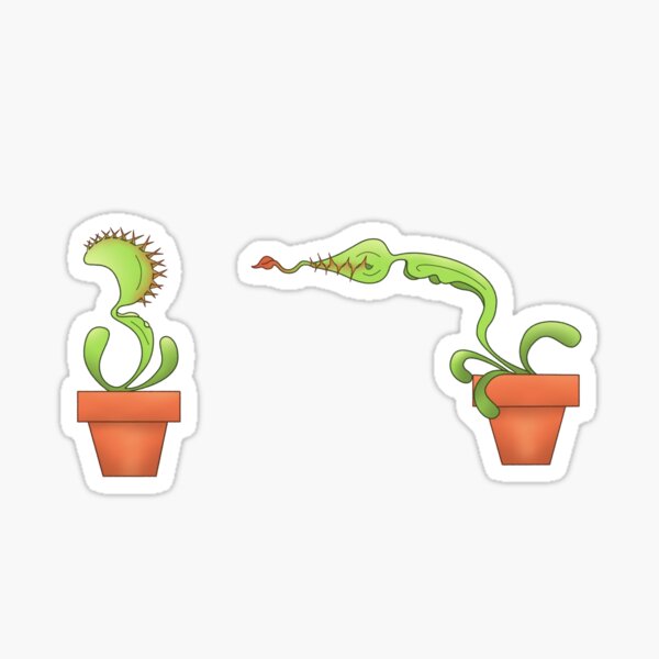 "Venus Fly Trap Raspberry" Sticker for Sale by SadieLouHays | Redbubble