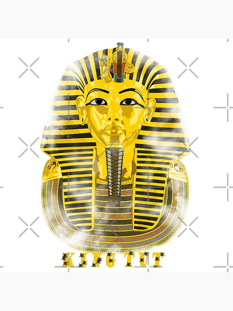 "Tutankhamun (king tut Pharaoh in ancient Egypt) hieroglyphics" Poster ...