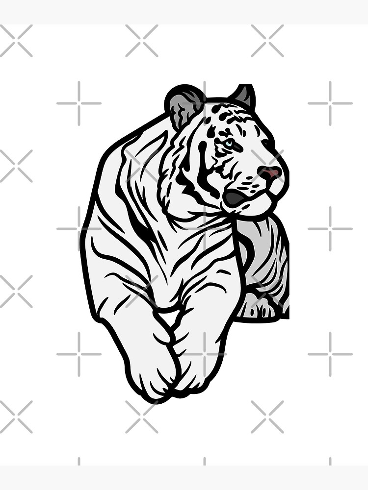 "White Tiger Chilling" Poster for Sale by CorneliusDesign | Redbubble
