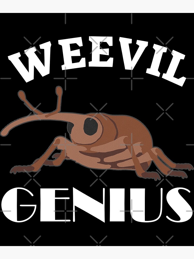 "Weevil Genius" Poster for Sale by Hapoel | Redbubble