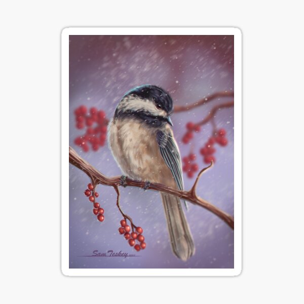 "Winter Chickadee " Sticker for Sale by SamanthaTeskey | Redbubble