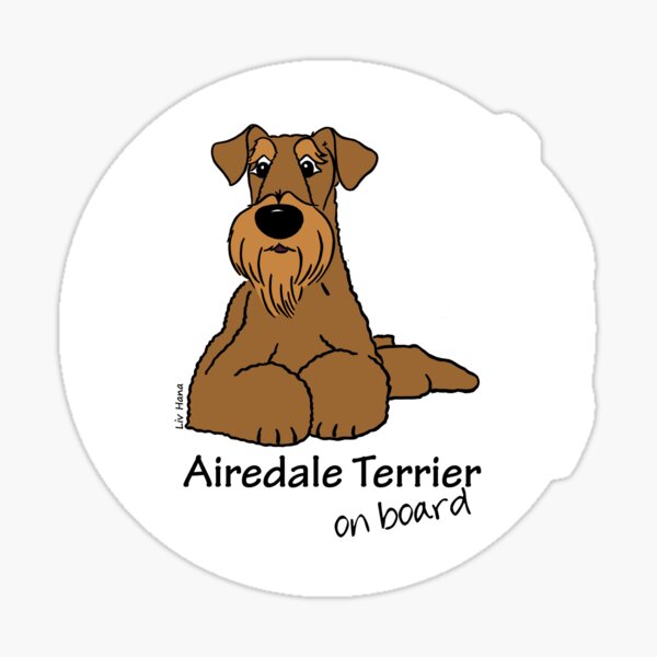 Airedale Nhs Logo
