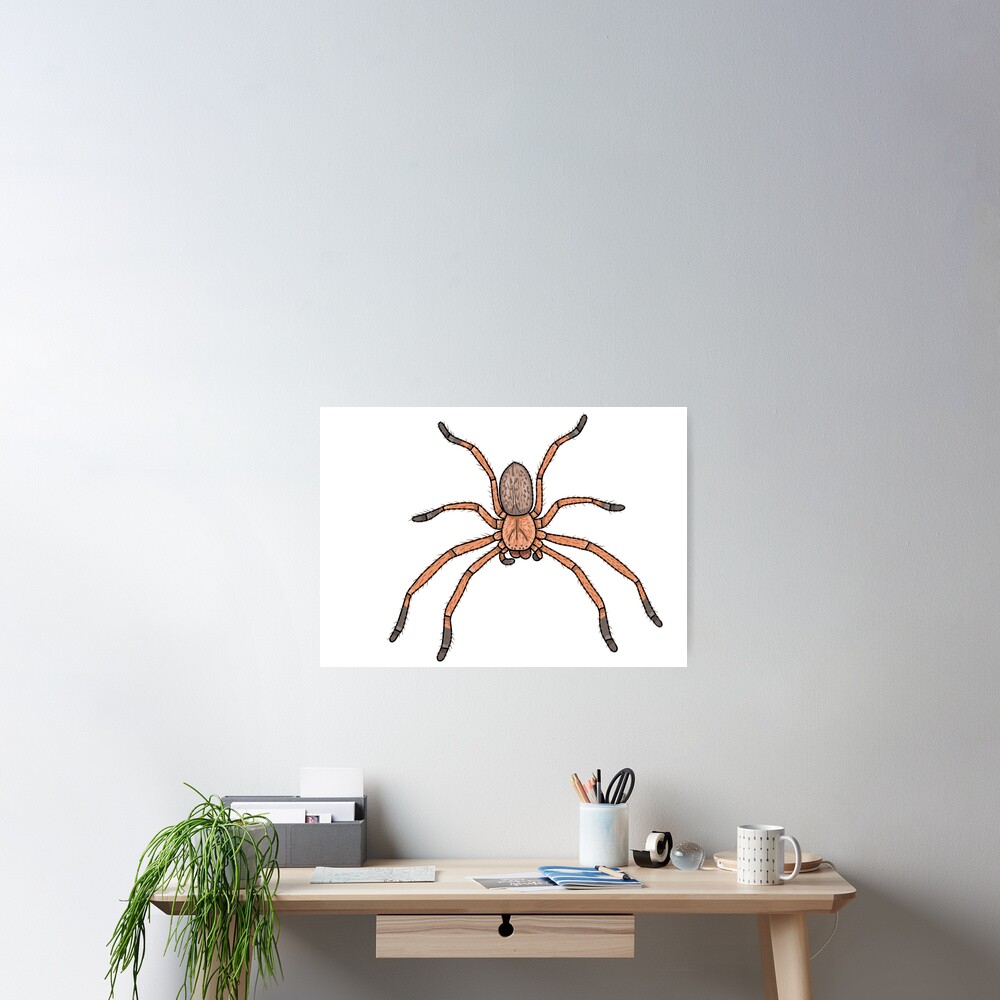 "Delena Cancerides social huntsman" Poster for Sale by Artbychb | Redbubble