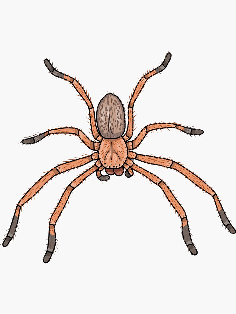 "Delena Cancerides social huntsman" Sticker for Sale by Artbychb ...