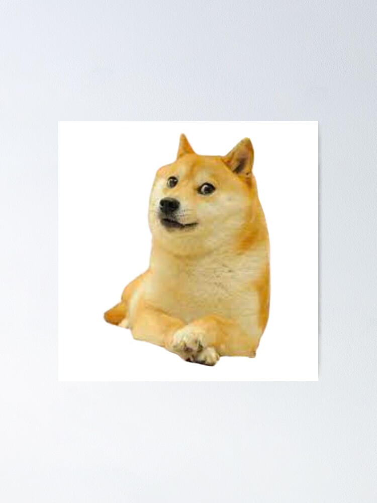 "Doge meme" Poster for Sale by the-al-foil | Redbubble
