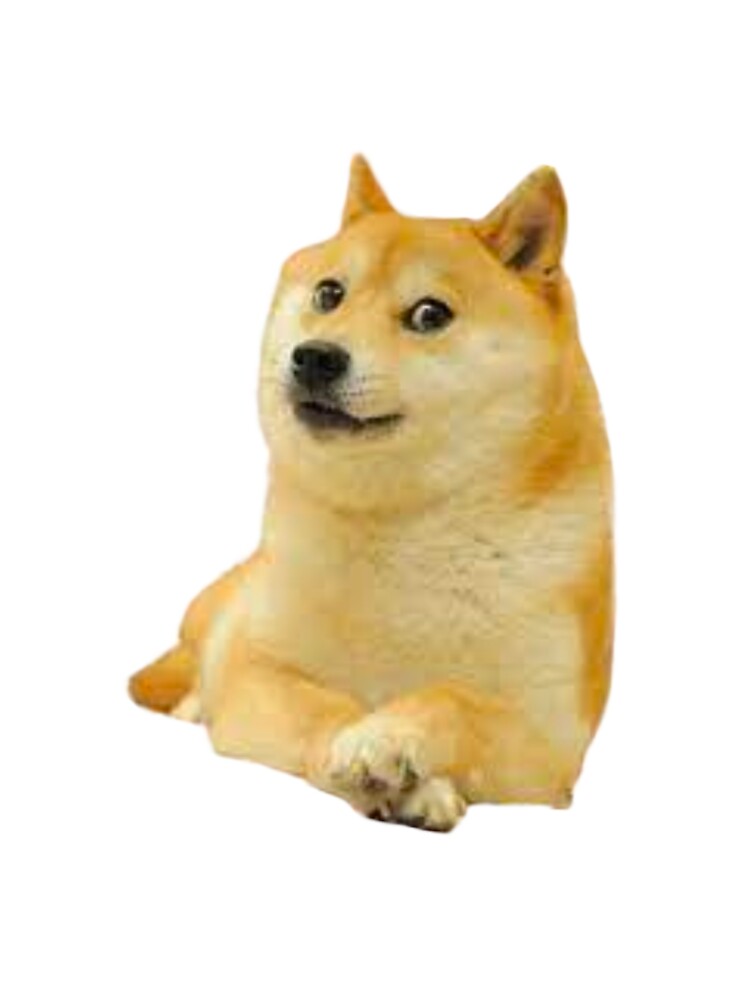 "Doge meme" Kids T-Shirt for Sale by the-al-foil | Redbubble