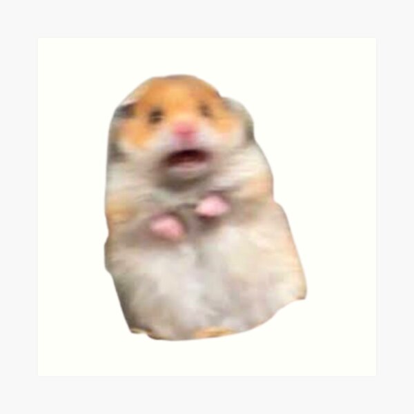 "Scared Hamster Meme" Art Print for Sale by the-al-foil | Redbubble
