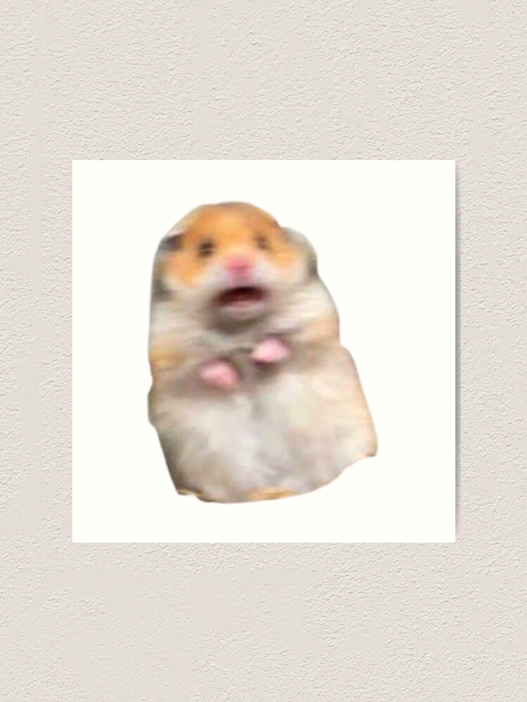"Scared Hamster Meme" Art Print for Sale by the-al-foil | Redbubble