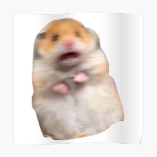 "Scared Hamster Meme" Poster for Sale by the-al-foil | Redbubble
