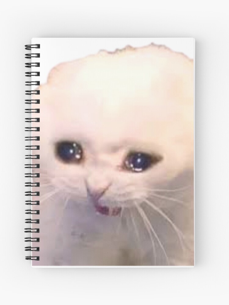 Cute Sad Cat Meme Sad Cat Meme Etsy