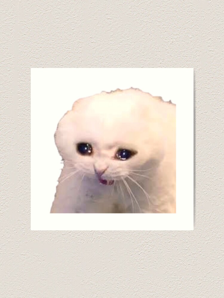 "Sad Cat Meme" Art Print for Sale by the-al-foil | Redbubble