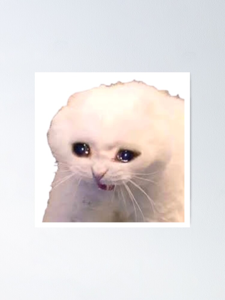 "Sad Cat Meme" Poster for Sale by the-al-foil | Redbubble