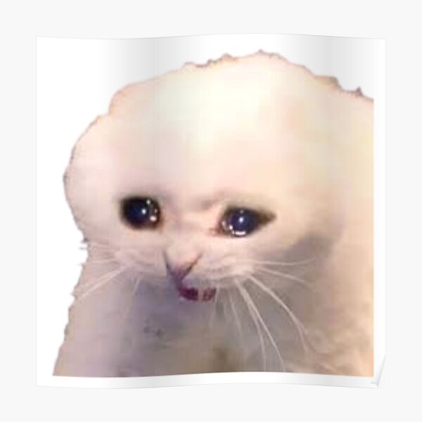 "Sad Cat Meme" Poster for Sale by the-al-foil | Redbubble