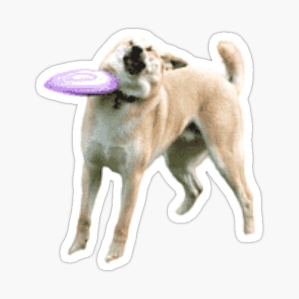 "Frisbee dog Meme" Sticker for Sale by the-al-foil | Redbubble