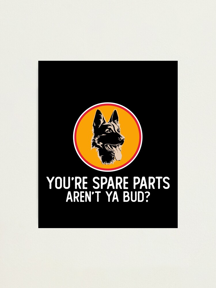 "You're Spare Parts Aren't Ya Bud Funny Quotes Dog Gift Slang Meme ...
