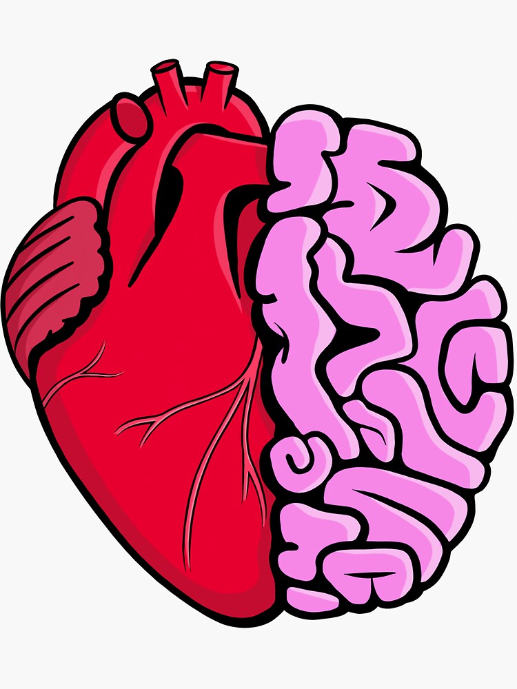 "Heart Brain Anatomy Organs Dissection Physiology Anatomical Graphic ...