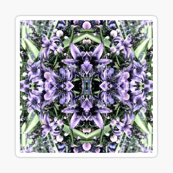 "Raya" Sticker for Sale by kmhphotodesign | Redbubble