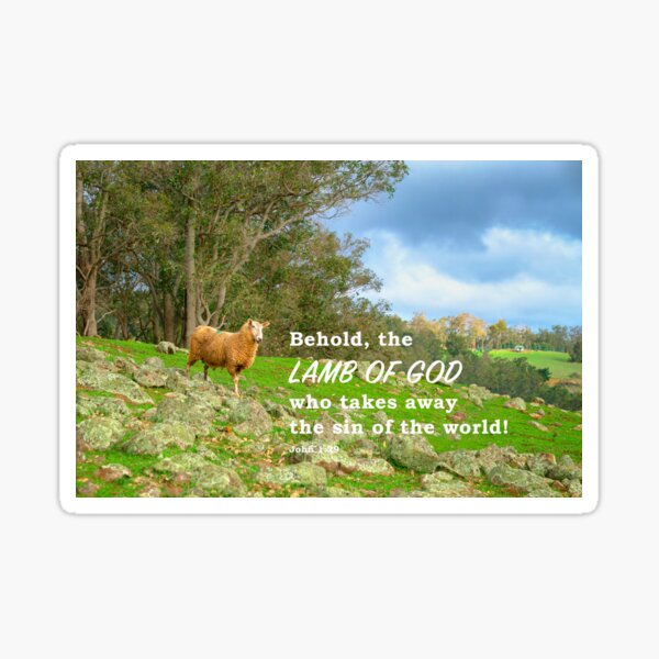 "Behold the Lamb of God" Sticker for Sale by sinseeho | Redbubble
