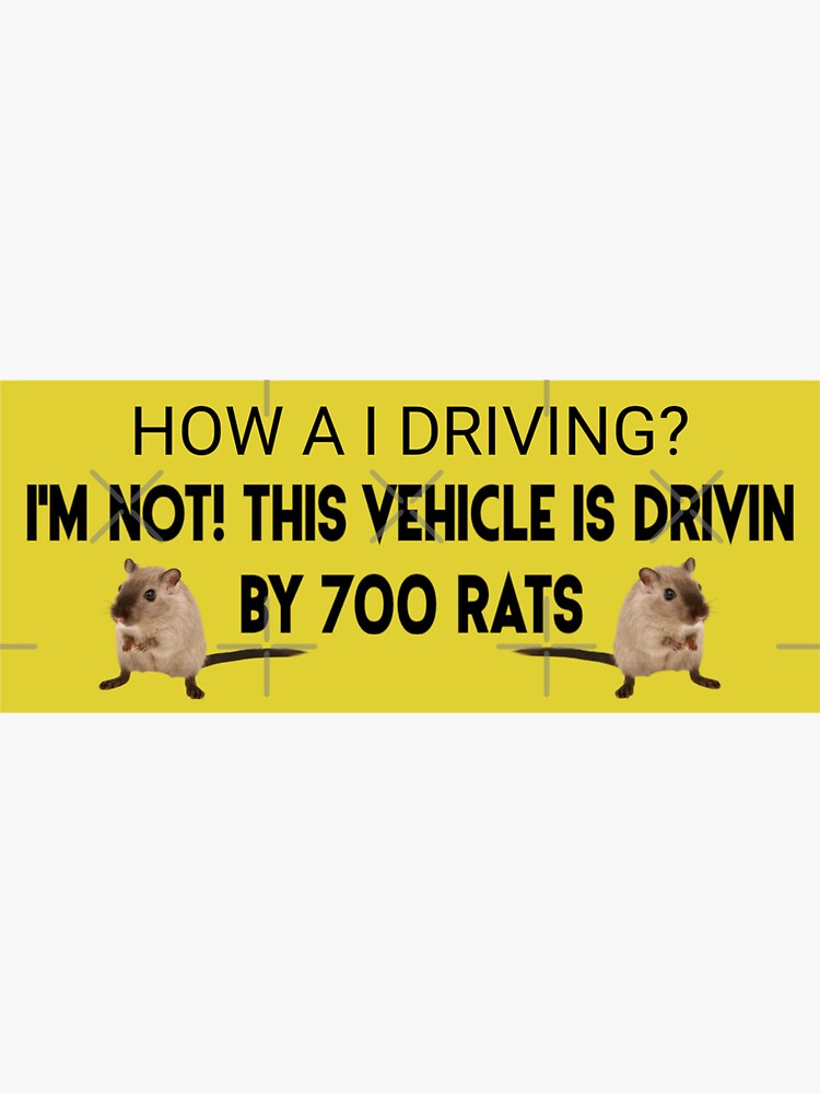 "RATS - Bumper Sticker" Sticker for Sale by yourSTORE28 | Redbubble