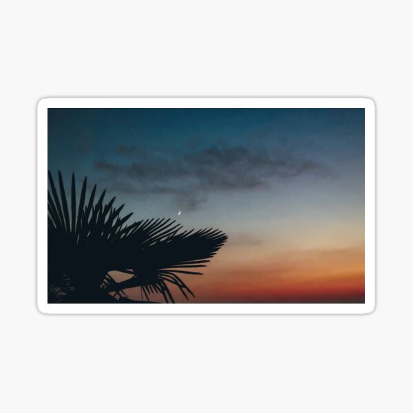 "Sunset colorful sky view with palms and moon" Sticker for Sale by ...