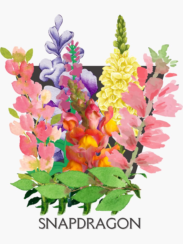 "Vintage Snapdragons" Sticker for Sale by NYStudio | Redbubble