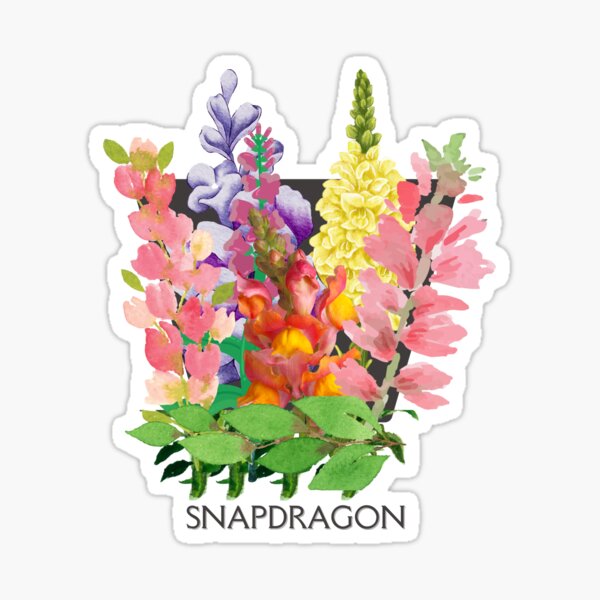 "Vintage Snapdragons" Sticker for Sale by NYStudio | Redbubble