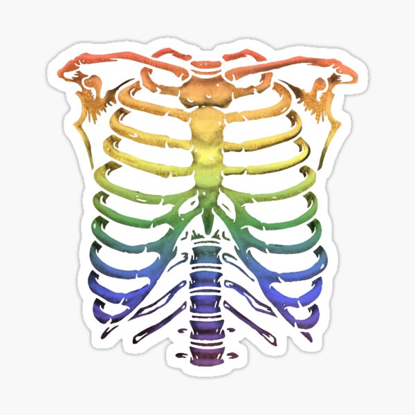 Pegatina «Huesos del arco iris | esqueleto coloreado» de CkaubokerRio ...